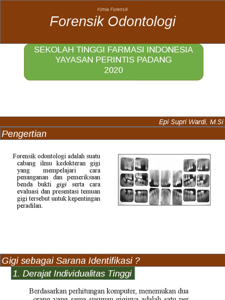Forensik Odontologi: Identifikasi Gigi | PDF