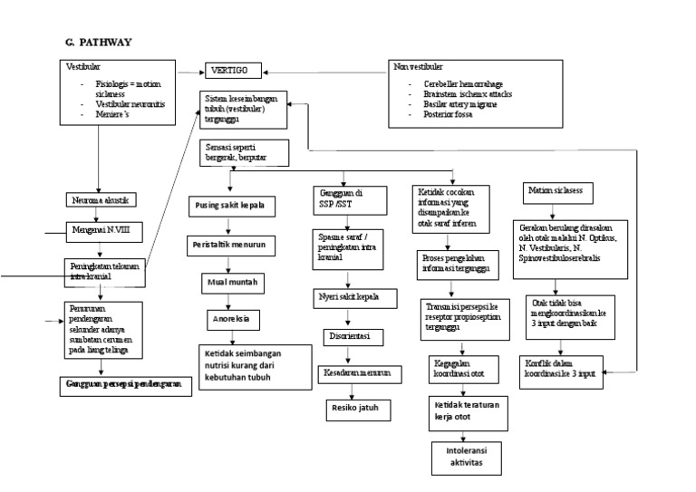 Pathway Vertigo | PDF