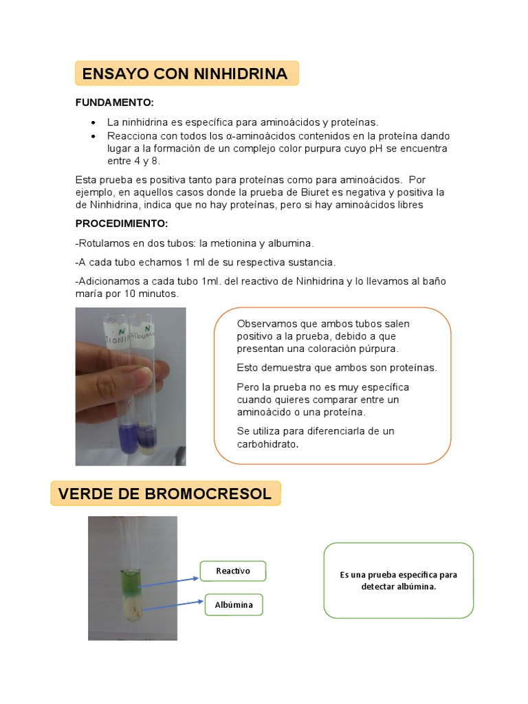 Reacción de Ninhidrina con Aminoácidos | PDF | Ciencia y matemáticas