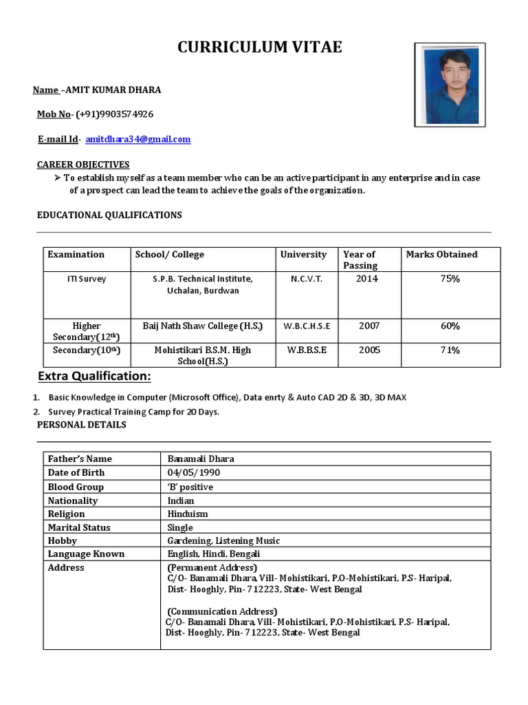 Curriculum Vitae: Extra Qualification | PDF | Computer Aided Design ...
