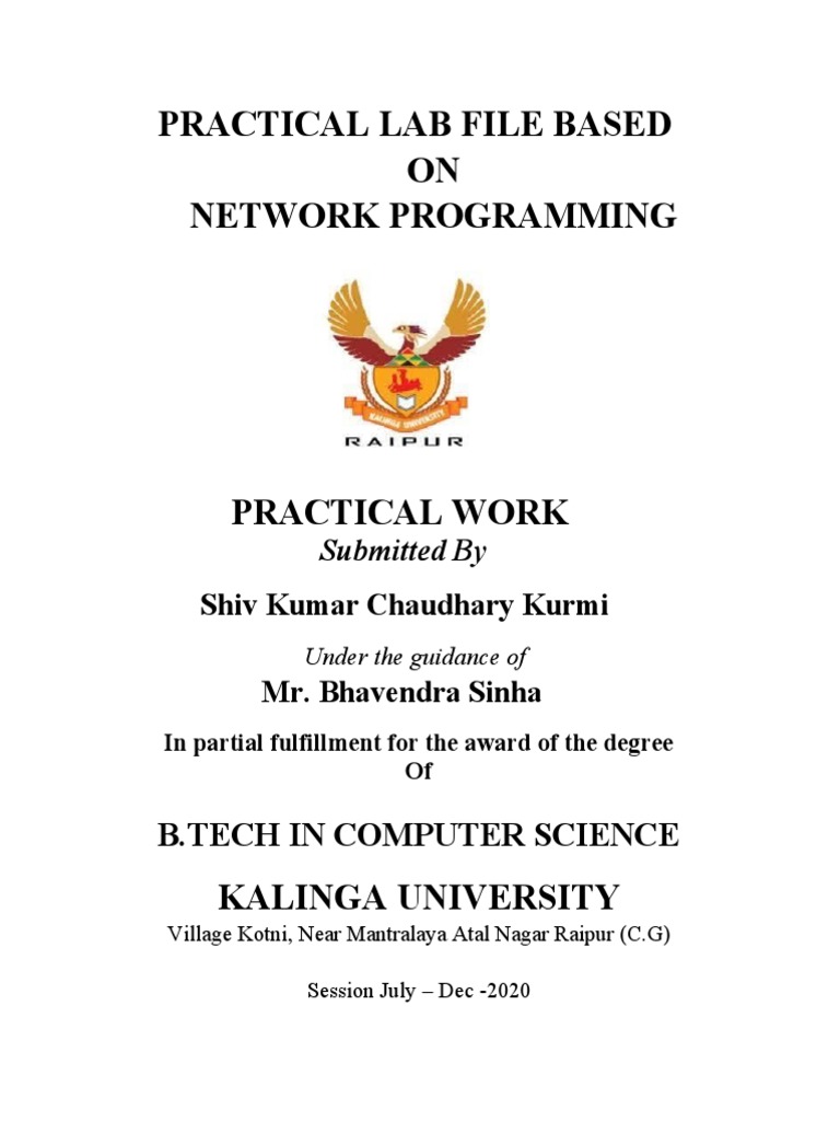 Practical Lab File Based On Network Programming B Tech In Computer Science Pdf Network