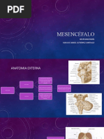 El Colículo Superior | PDF | Anatomía humana | Neurociencia