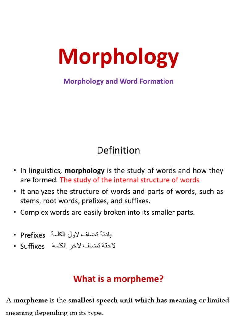 Morphology: Morphology and Word Formation | PDF | Morphology ...