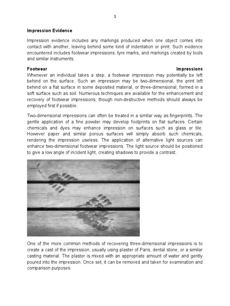 Impression Evidence | PDF