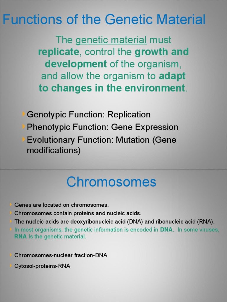 Functions of The Genetic Material | PDF | Nucleic Acid Double Helix | Dna