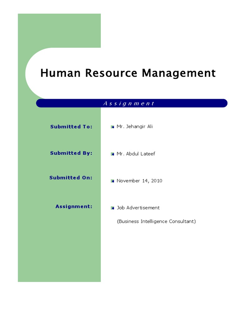 HRM - Job Advertisement | PDF | Software Development | Sas (Software)