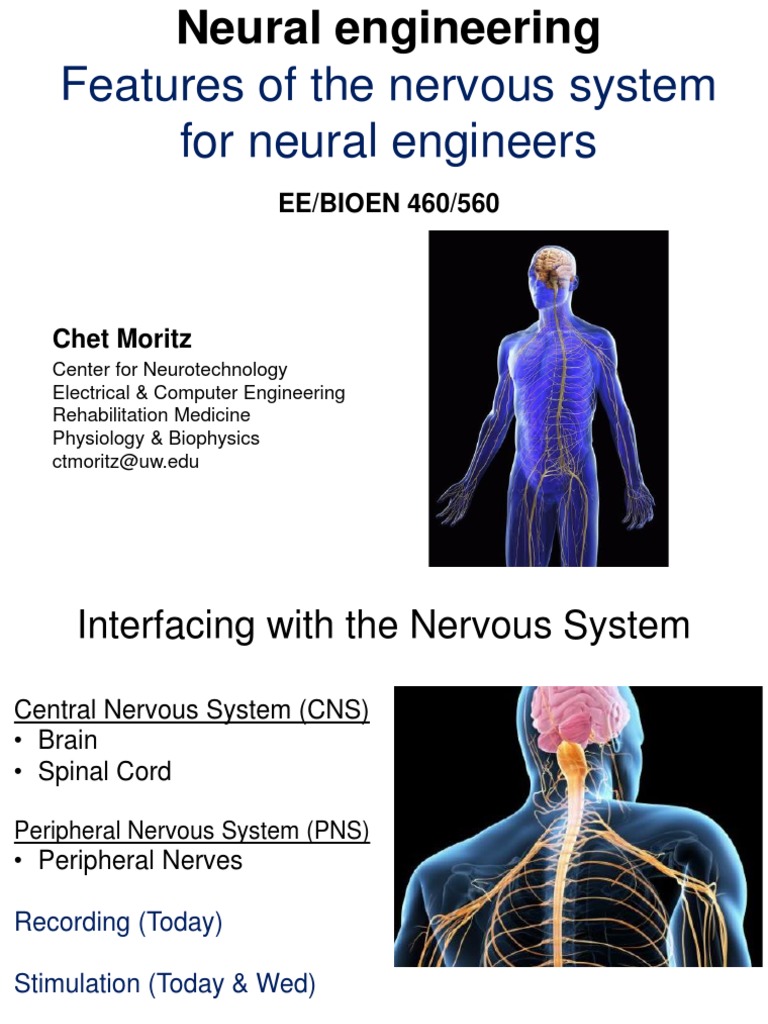 2 - Neural Engineering NS Interfacing I (10!2!20) | PDF | Nervous ...