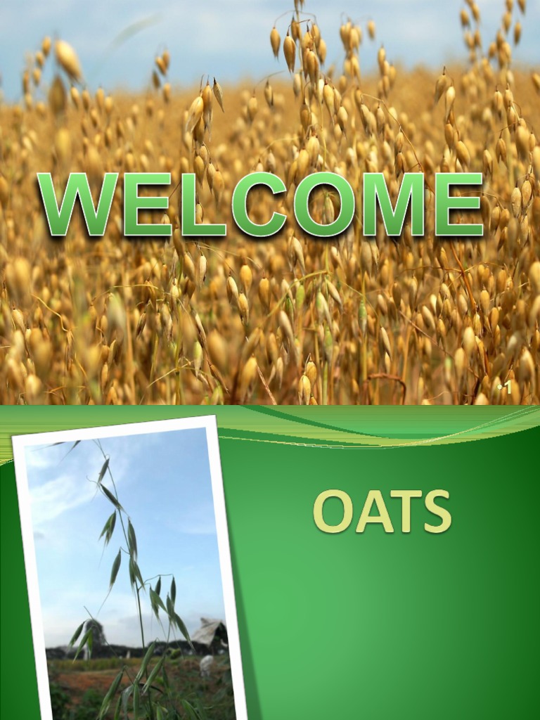 Oats | Download Free PDF | Oat | Flowers