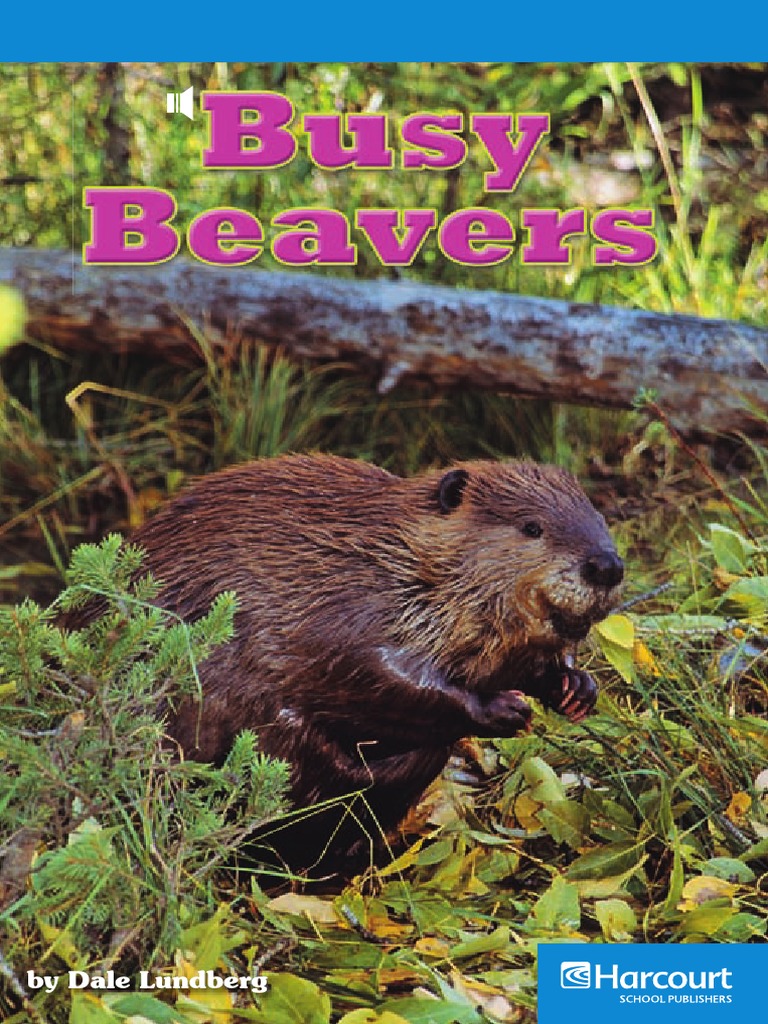 27 Busy Beavers | PDF | Beaver | Nature