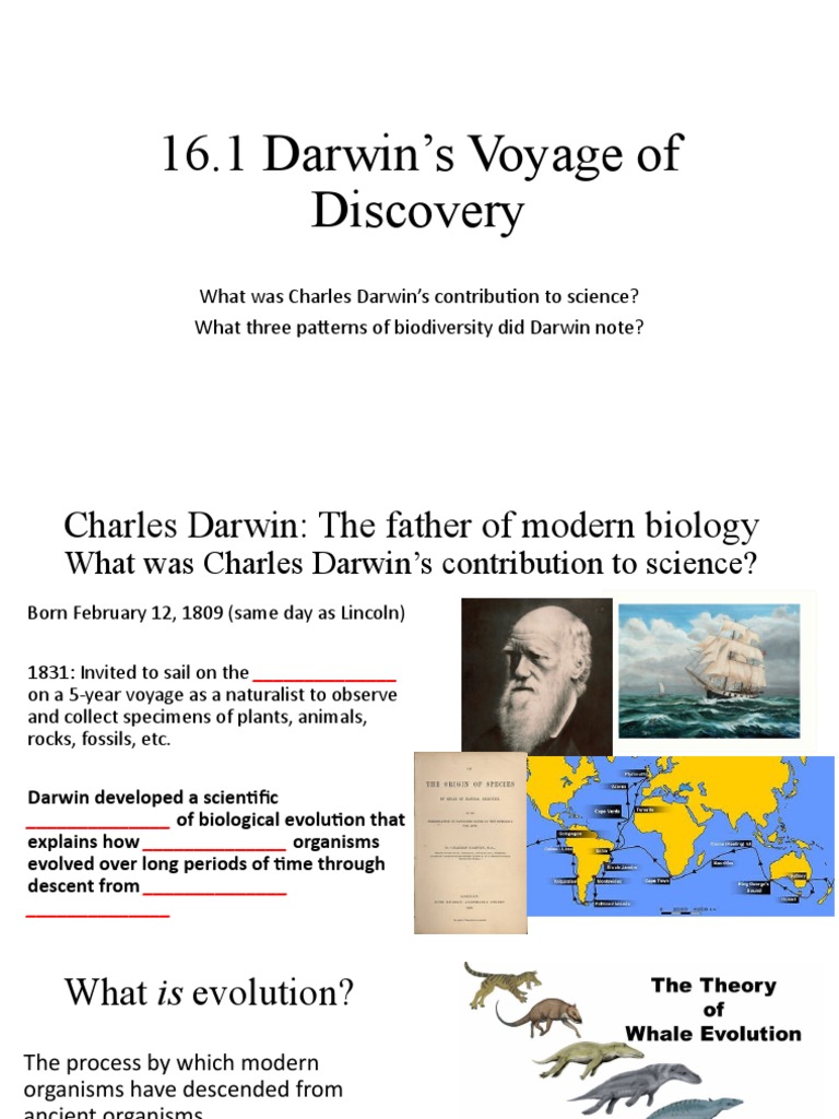 NOTES Darwin and Evolution PPT OMNIBUS | PDF | Natural Selection ...