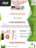 Condrogénesis y Crecimiento Del Cartílago | PDF