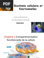 Cours 2-La Paroi Pectocellulosique PDF | PDF | Paroi cellulaire | Lignine