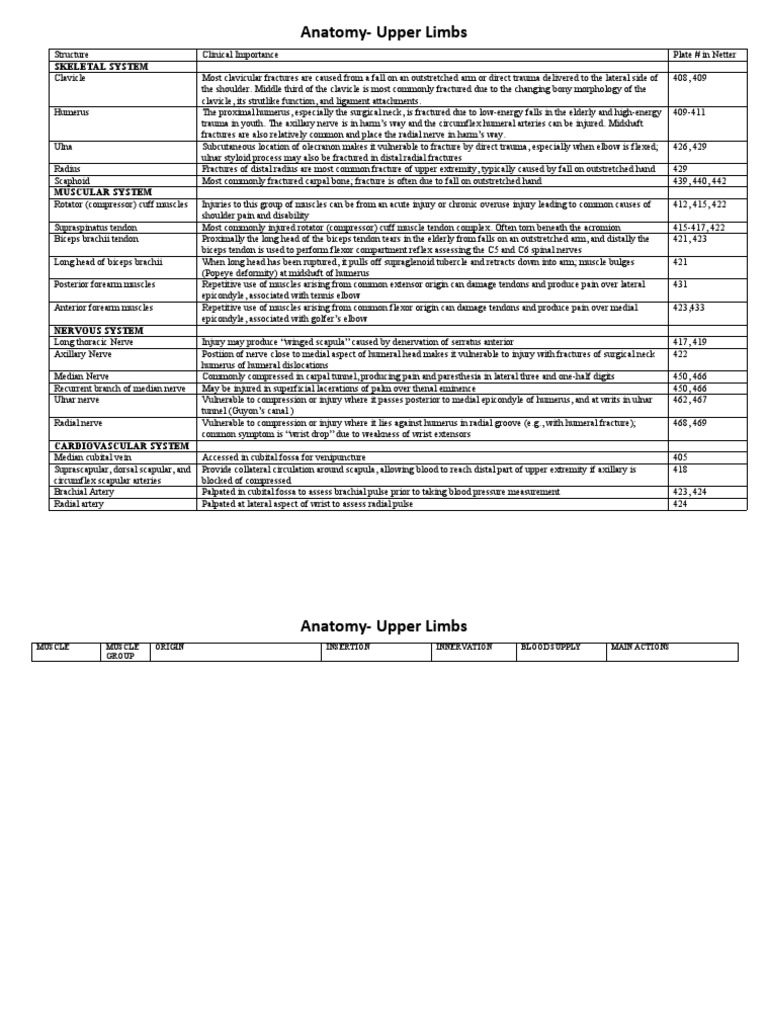 Upper Limbs NOTES - BRS Anatomy, Table of Muscles and BRS Questions ...