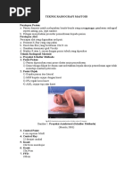 Teknik Pemeriksaan Manus | PDF