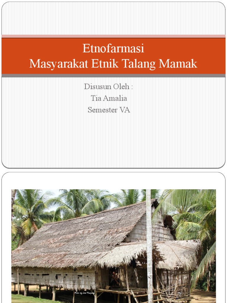 Tia Amalia - VA - Etnofarmasi Talang Mamak | PDF