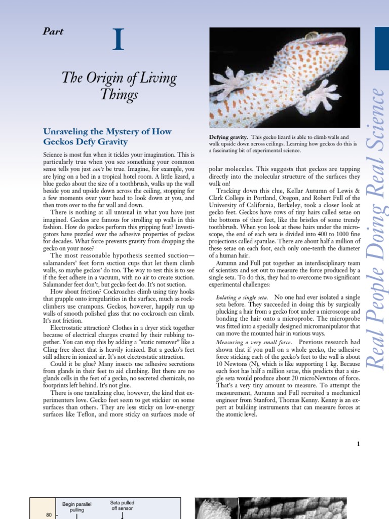 Raven Johnson - Biology, Part 01 - The Origin of Living Things - Cover ...