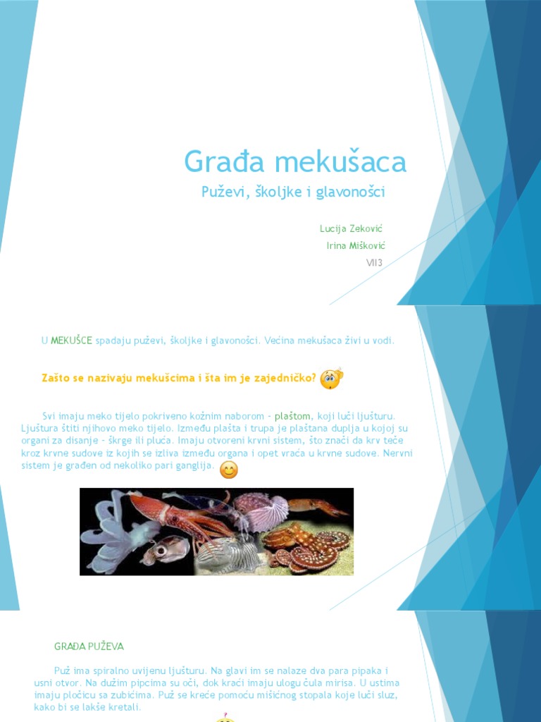 Građa Mekušaca: Puževi, Školjke I Glavonošci | PDF