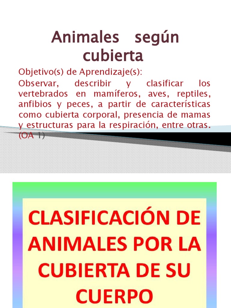 Animales Según Cubierta | PDF