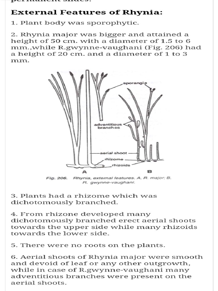 Features of RHYNIA | PDF
