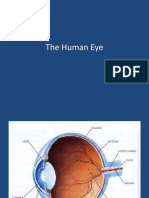 NCERT Books For Class 10 Science Chapter 11 Human Eye and Colorful World | PDF | Rainbow | Eye