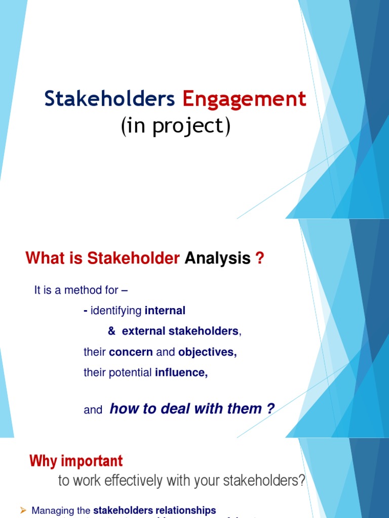 Project Management - Merged | PDF | Motivation | Motivational