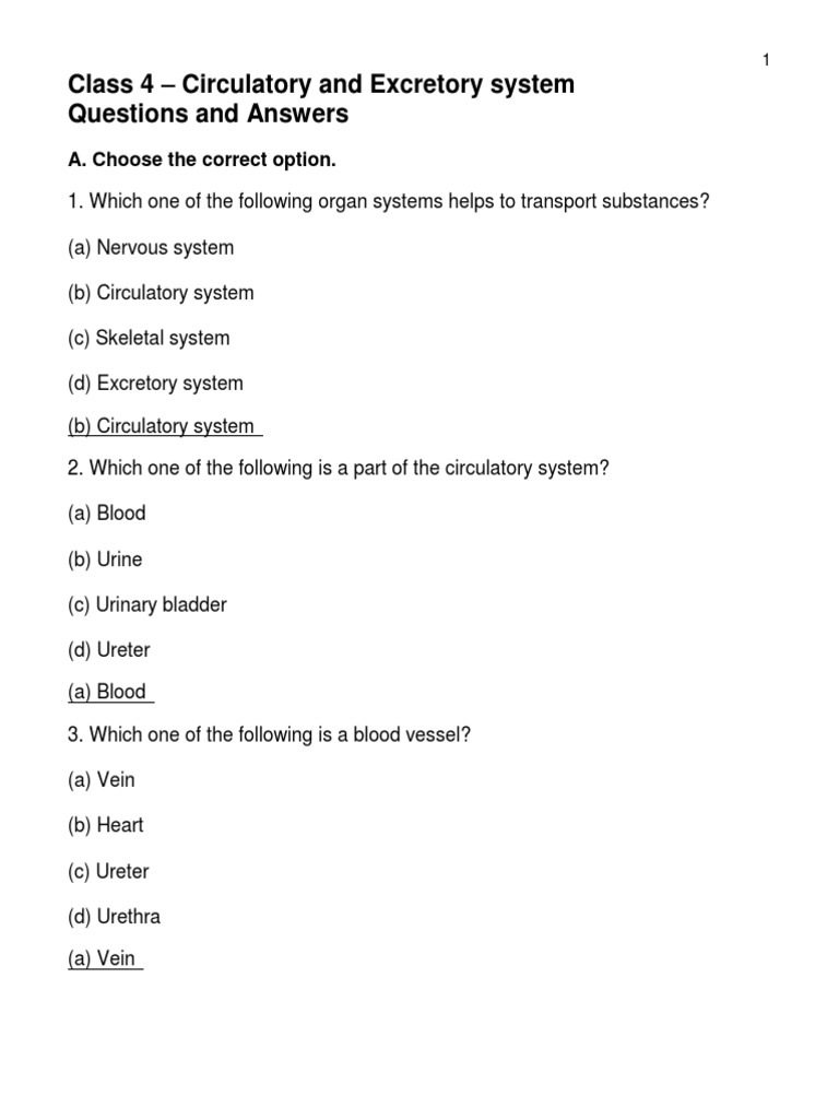 Class 4 - Circulatory and Excretory System Questions and Answers | PDF ...