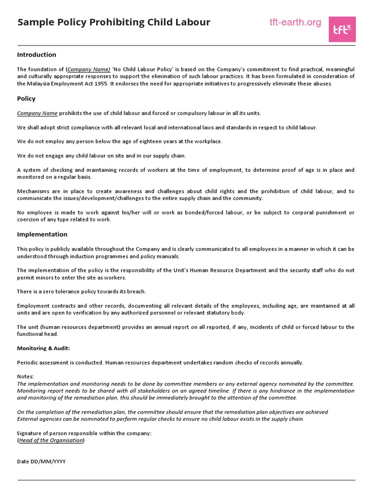 Child Labour Prohibition Policy Guide | PDF | Child Labour | Employment