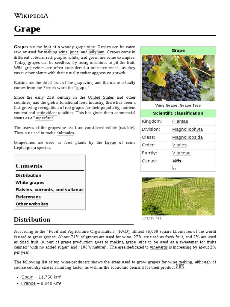 Grape: Grape Grapes Are The Fruit of A Woody Grape Vine. Grapes Can Be ...