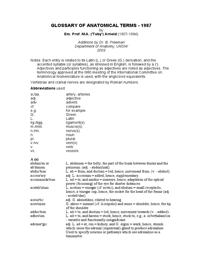 Anatomical Terms Glossary 1987 | PDF | Nerve | Anatomy