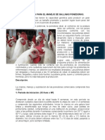 Sistema de Producción de Leche en Granjas Bovinas Familiares | PDF | Vacas | Leche