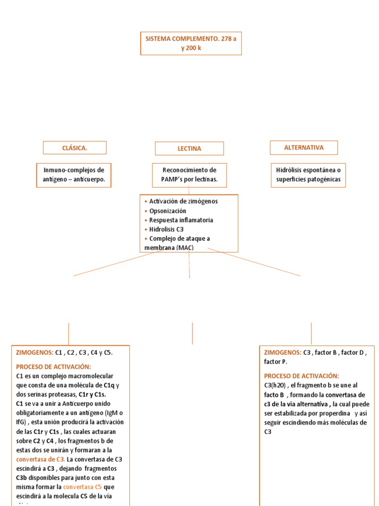 Complemento | PDF | Sistema complementario | Inmunología