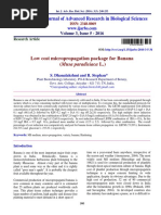 IGCSE_Bio_Worksheet 1_Life Processes | PDF | Cell (Biology) | Enzyme