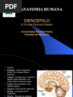 Fisiopatología de Las Células Renshaw | PDF