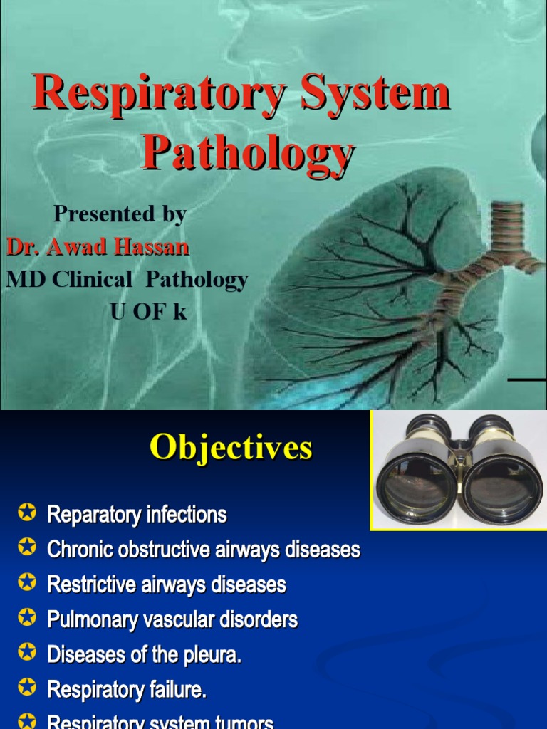 Respiratory System Pathology Presentation | PDF | Respiratory Tract ...