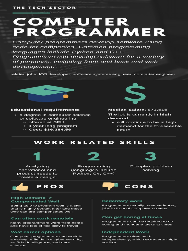 Computer Programmer | PDF