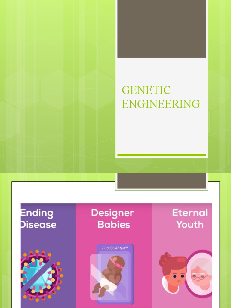 Genetic Engineering | PDF | Genetic Engineering | Genetically Modified Food
