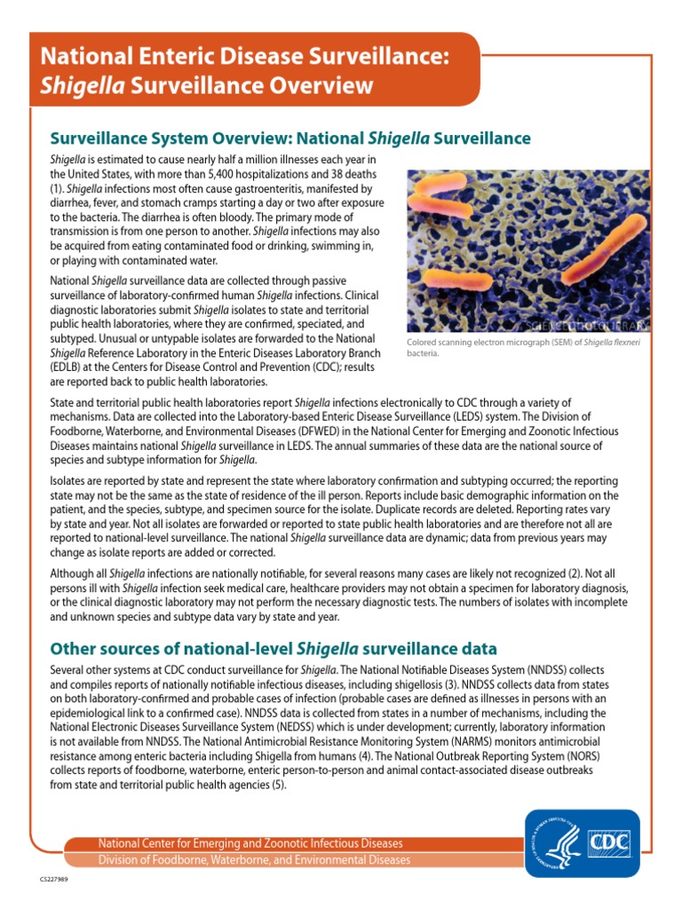Shigella Overview 508 | PDF | Foodborne Illness | Infection