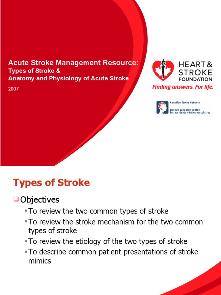 Acute Stroke Management Resource:: Types of Stroke & Anatomy and ...