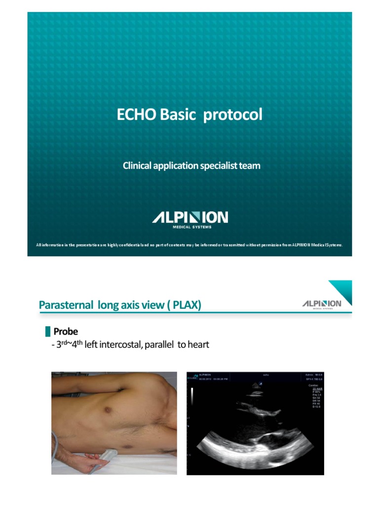 Echo Basic Protocol (ENG) | PDF | Heart Valve | Angiology