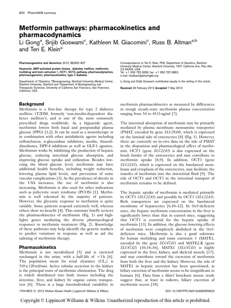Metformin Pathways: Pharmacokinetics and Pharmacodynamics | PDF ...