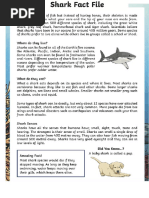 Wonder Chapter 1 Summary: August's Story | PDF