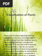 Overview of Plant Phyla and Divisions | PDF | Plants | Organisms
