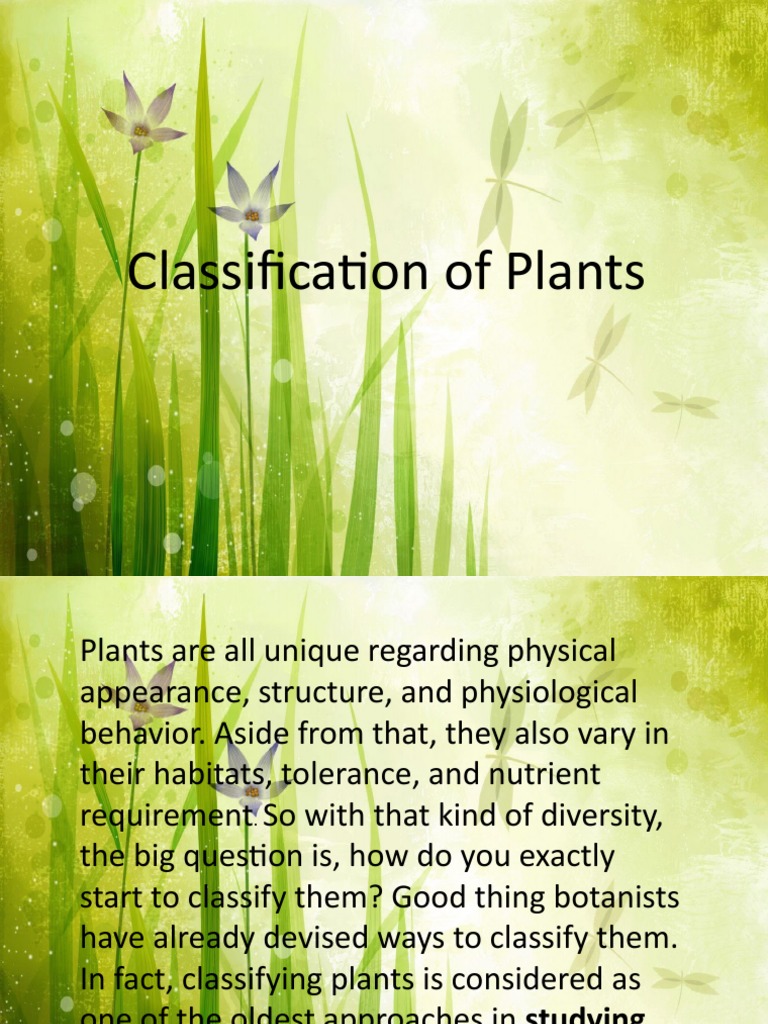 Classification of Plants | PDF | Plants | Taxa