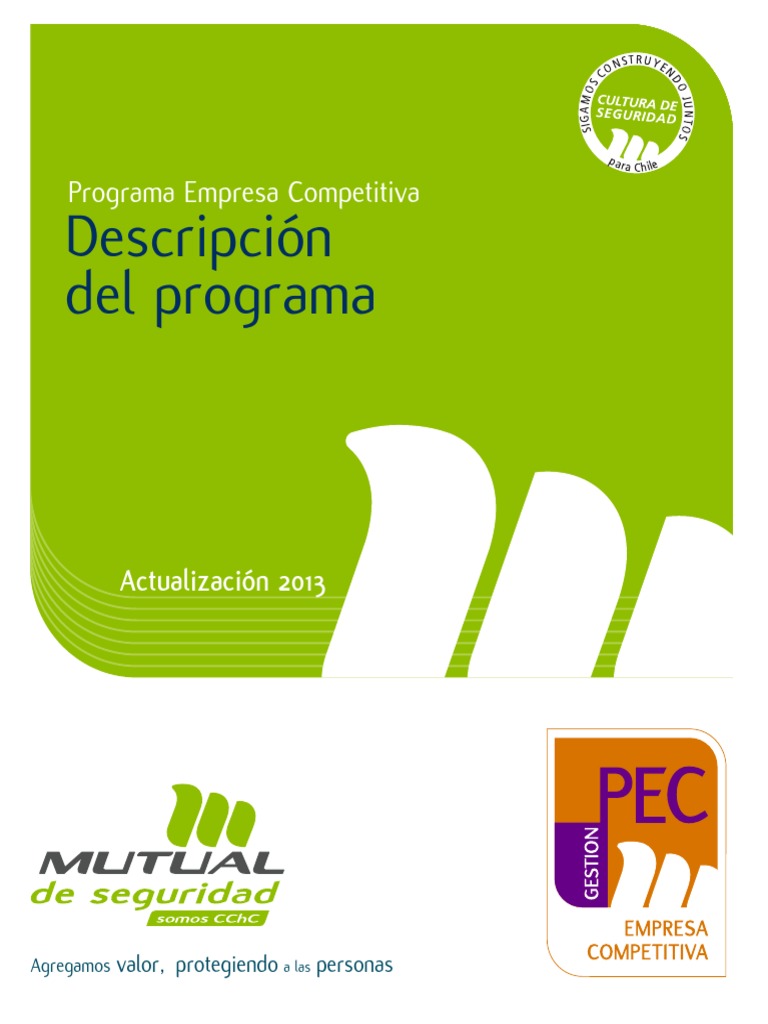 PEC Competitiva PDF | Descargar gratis PDF | Empresas | Planificación