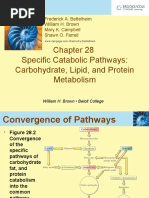Biosynthesis of Carbohydrates | PDF | Metabolic Pathway | Pyruvic Acid