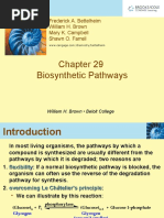 RNA and Protein Synthesis Problem Set | PDF | Translation (Biology) | Rna