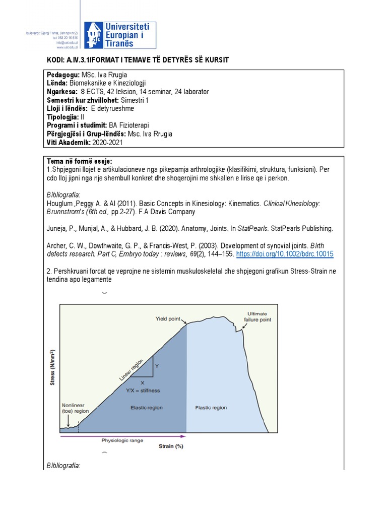 Detyra e Kursit | PDF