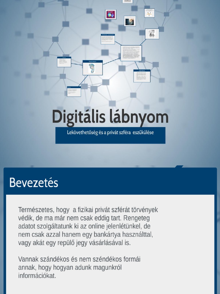 Digitális Lábnyom PDF | PDF