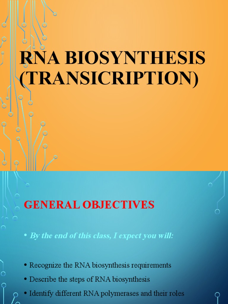 Rna Biosynthesis (Transicription) | PDF | Rna | Directionality ...