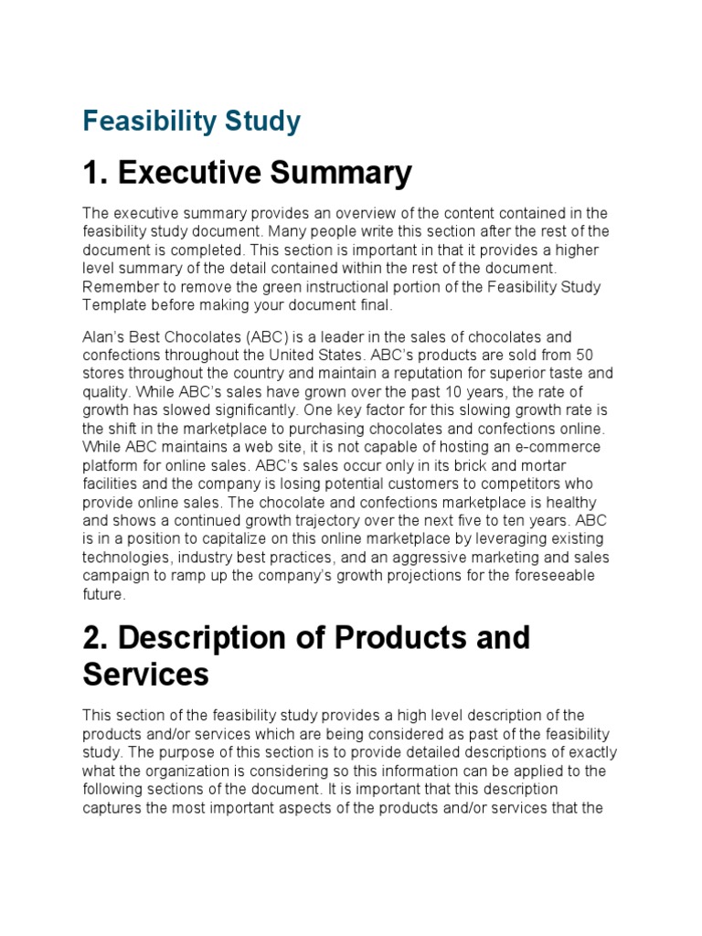 Executive Summary: Feasibility Study | Download Free PDF | E Commerce ...